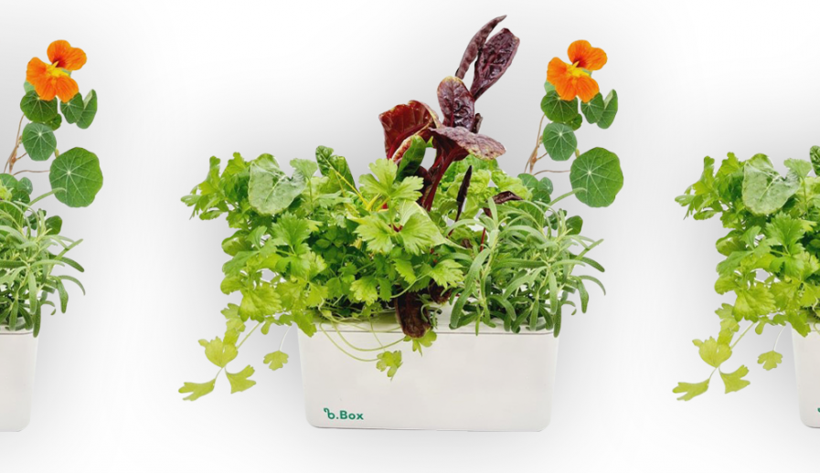 EqSeed | Invista em Startups e Empresas Privadas